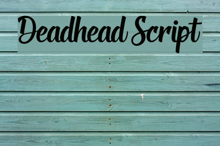 Deadhead Script Font - FFonts.net