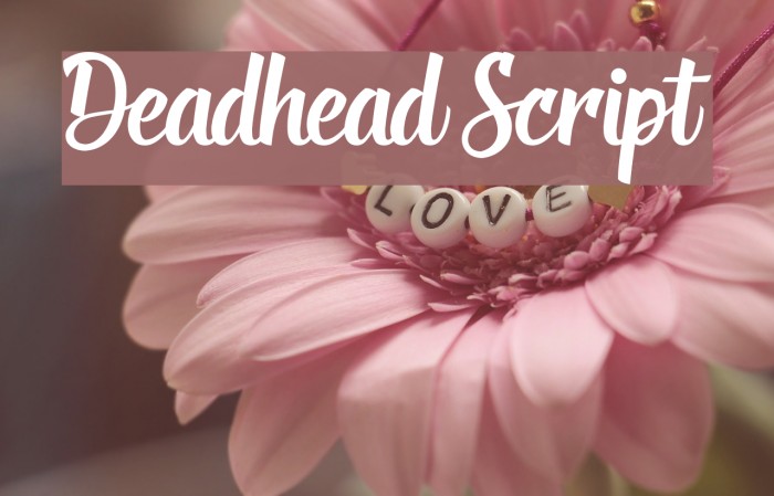 Deadhead Script Font - FFonts.net