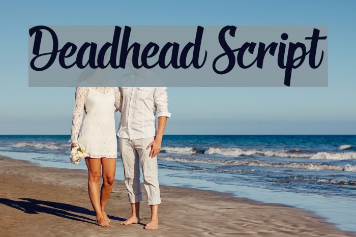 Deadhead Script Font - FFonts.net