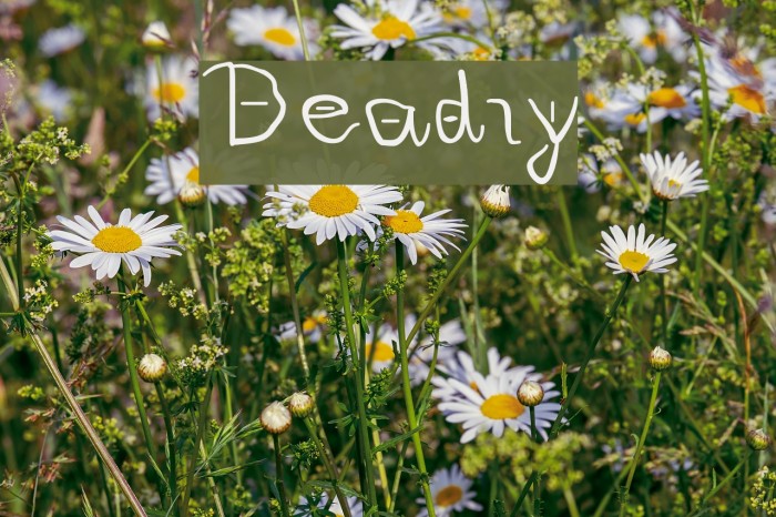 Deadly Font - FFonts.net