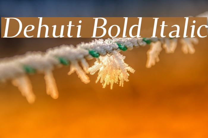 Dehuti Bold Italic Font - FFonts.net
