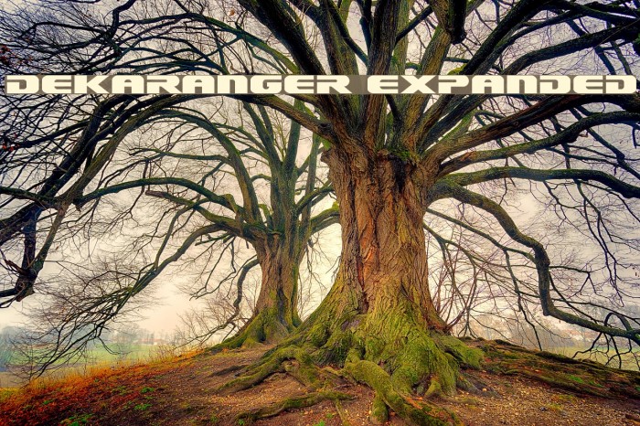 Dekaranger Expanded Font - FFonts.net