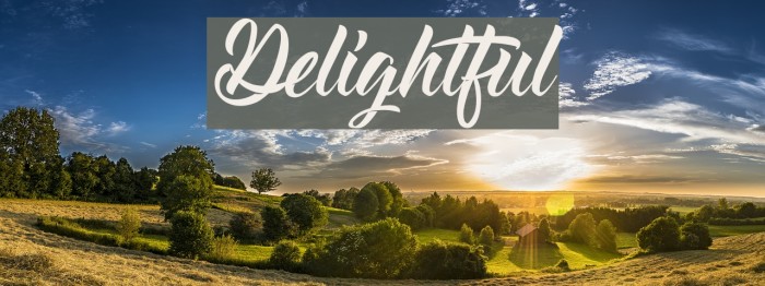 Delightful Font - FFonts.net