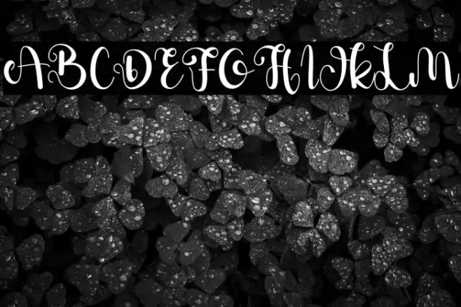 Della Berlyn Font | Free Download (TTF/OTF) | FFonts.net