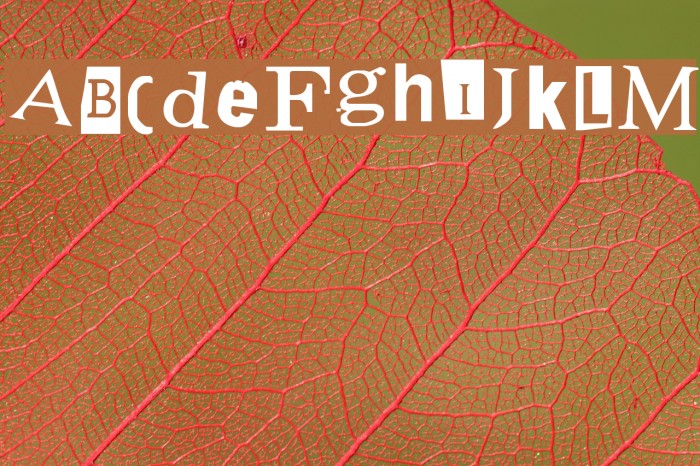 Demand Font - FFonts.net