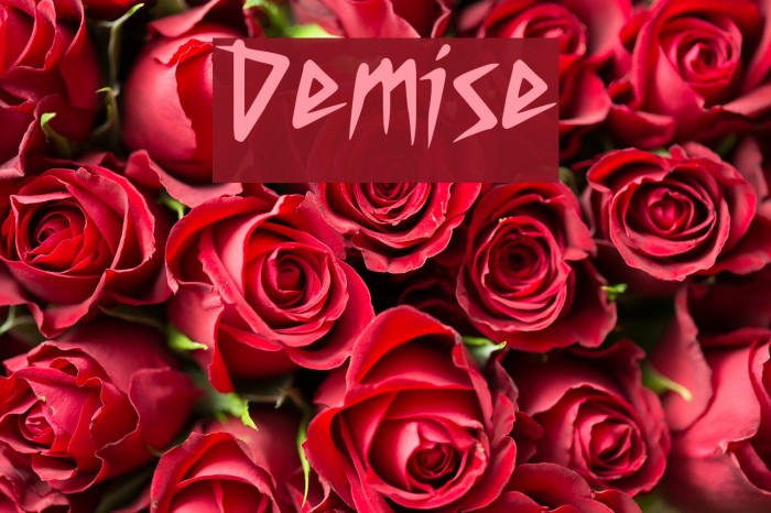 Demise Font - FFonts.net
