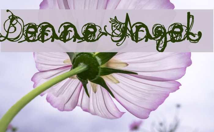 Denne Angel Font - FFonts.net