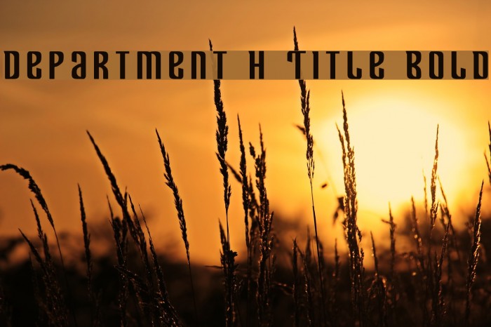 Department H Title Bold Font - FFonts.net