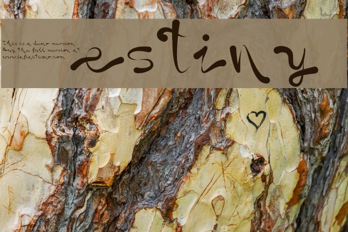 Destiny Font - FFonts.net