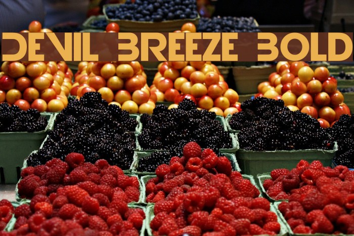 Devil Breeze Bold Font - FFonts.net