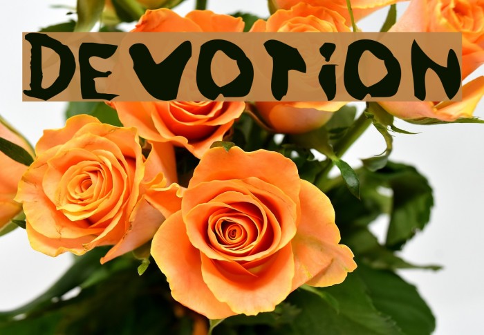 Devotion Font - FFonts.net