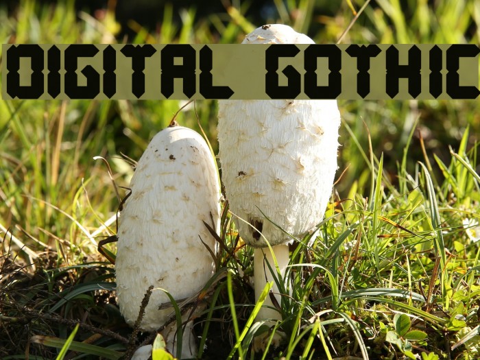 DIGITAL GOTHIC Font - FFonts.net