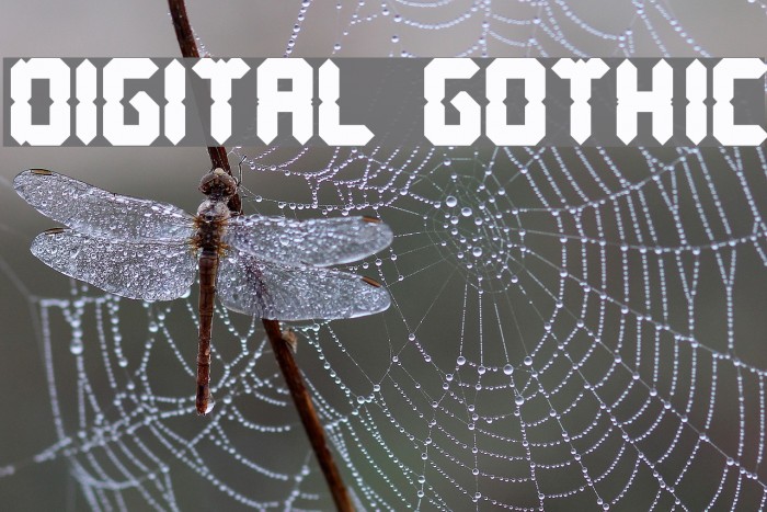 DIGITAL GOTHIC Font - FFonts.net