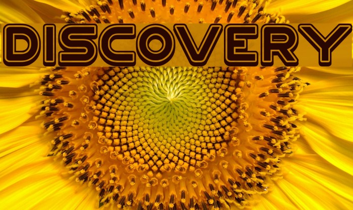 DISCOVERY Font - FFonts.net