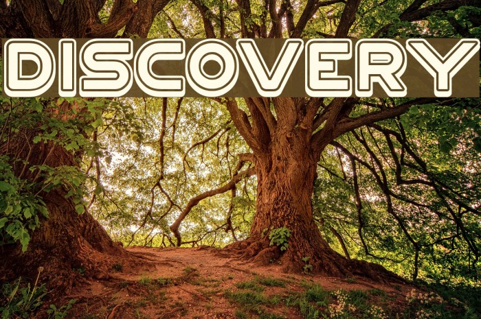 DISCOVERY Font - FFonts.net