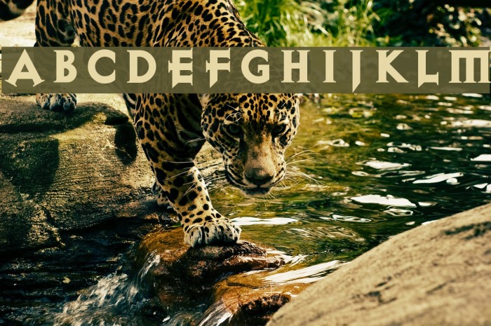 Diablo Heavy Font - FFonts.net