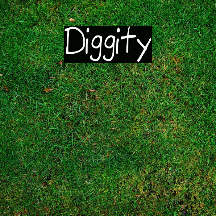 Diggity Font - FFonts.net