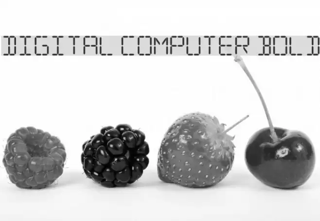 Digital Computer Bold Font - Free Download (TTF/OTF) | FFont