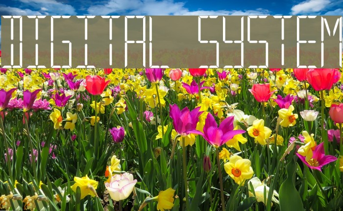 Digital System Font - FFonts.net