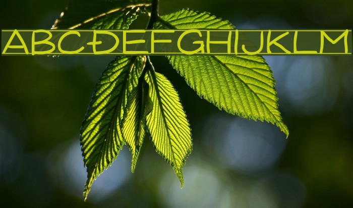 Dimension Font - FFonts.net