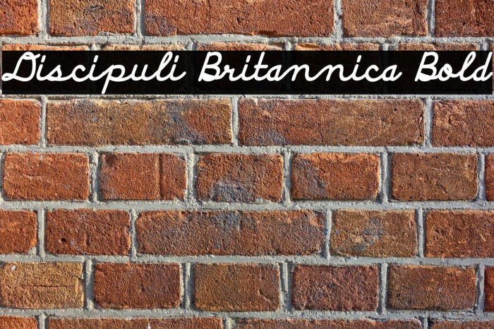 Discipuli Britannica Bold Font - FFonts.net