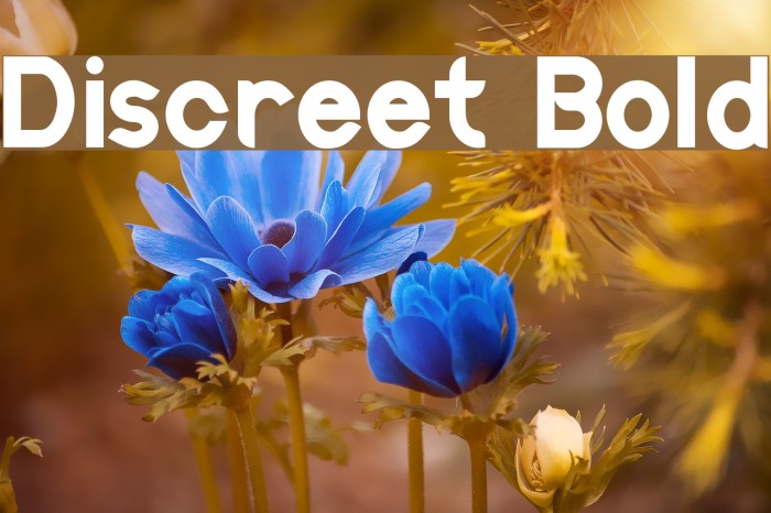 Discreet Bold Font - FFonts.net