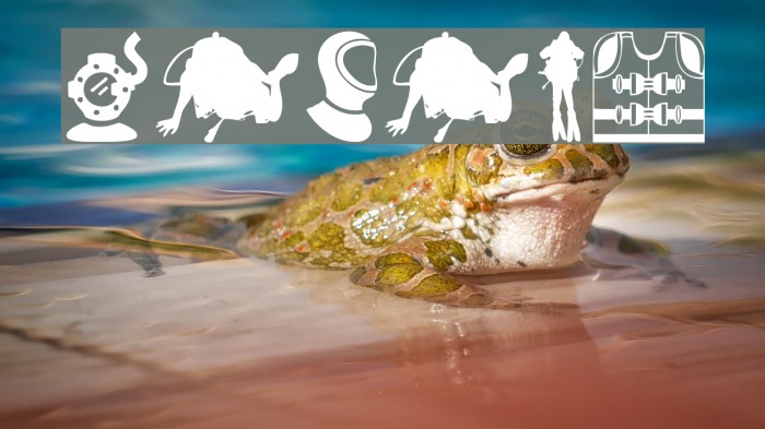 Diving Font - FFonts.net