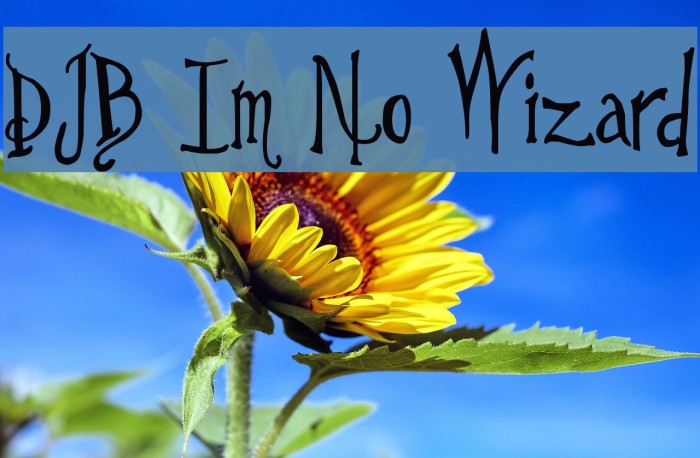 DJB Im No Wizard Font - FFonts.net