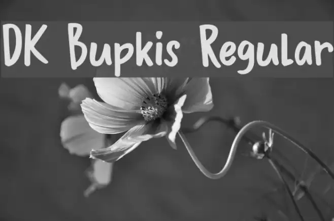 DK Bupkis Regular Font | Free Download (TTF/OTF) | FFonts.net