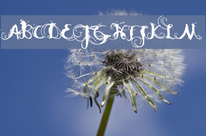 DK Moonlight Shadow Font - FFonts.net