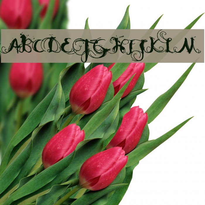 DK Moonlight Shadow Font - FFonts.net