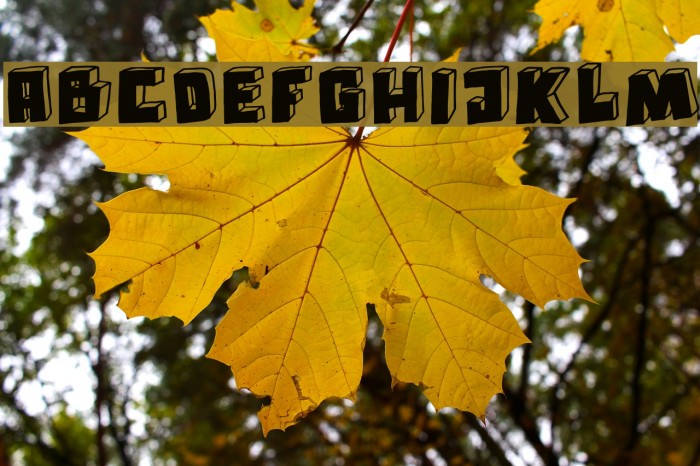 DK Technojunk Font - FFonts.net