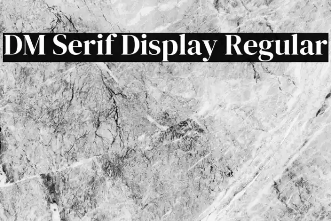 DM Serif Display Regular Font - Free Download (TTF/OTF) | FF
