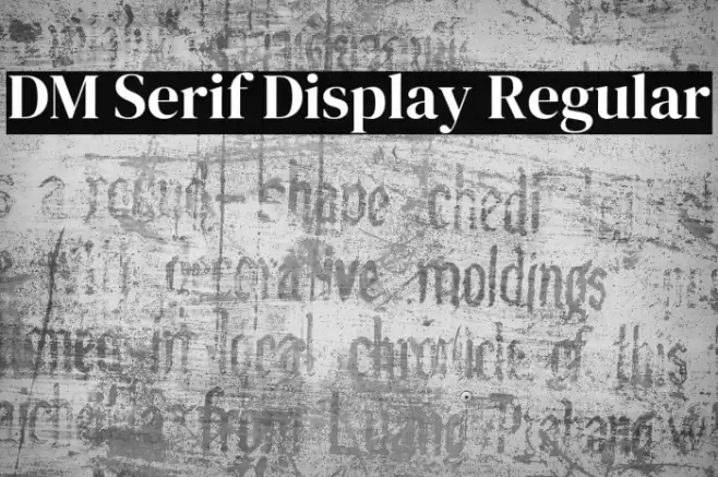 DM Serif Display Regular Font - Free Download (TTF/OTF) | FF