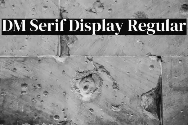 DM Serif Display Regular Font - Free Download (TTF/OTF) | FF