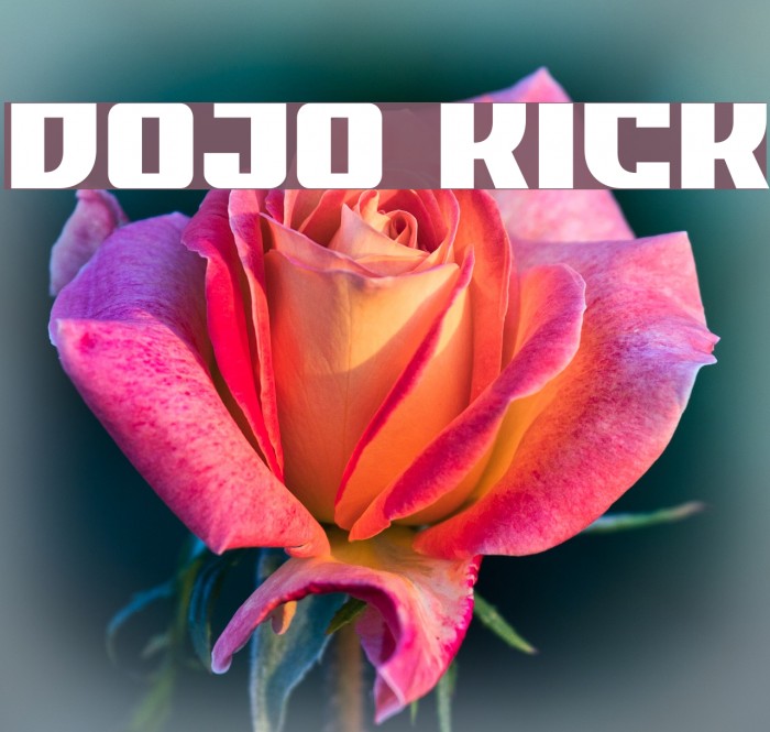 DOJO KICK Font - FFonts.net