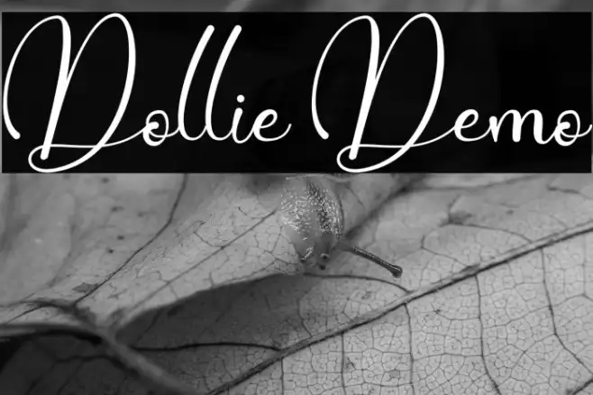 Dollie Demo Font | Free Download (TTF/OTF) | FFonts.net
