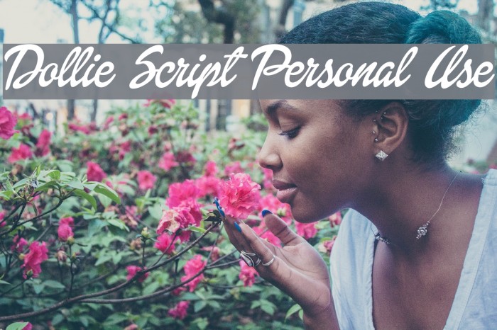 Dollie Script Personal Use Font