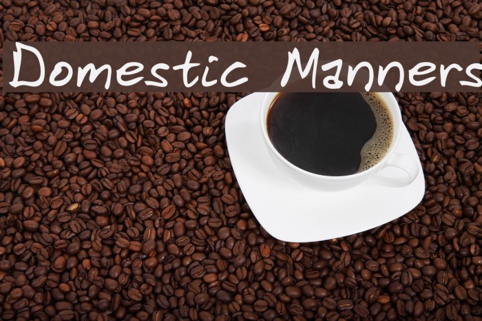 Domestic Manners Font - FFonts.net