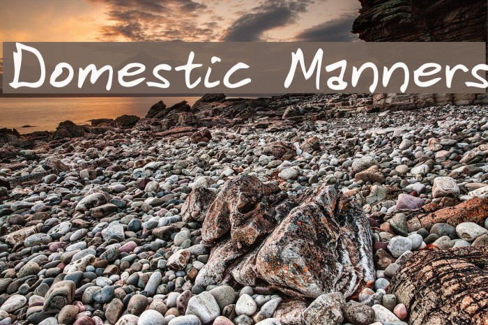 Domestic Manners Font - FFonts.net