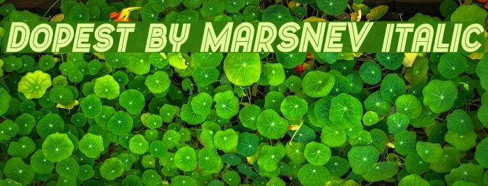 Dopest by MARSNEV italic Font - FFonts.net