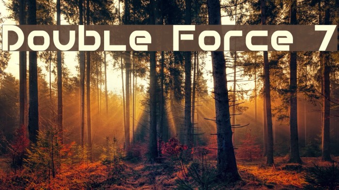 Double Force 7 Font - FFonts.net