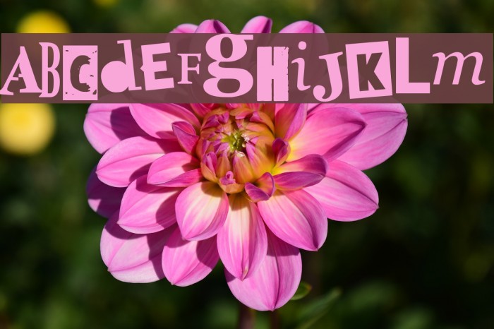 doctor punk Font - FFonts.net