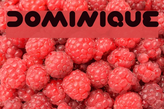 dominique Font - FFonts.net