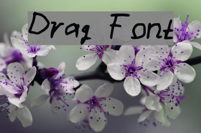 Drag Font - FFonts.net
