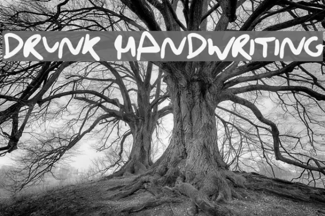 Drunk Handwriting Font | Free Download (TTF/OTF) | FFonts.net