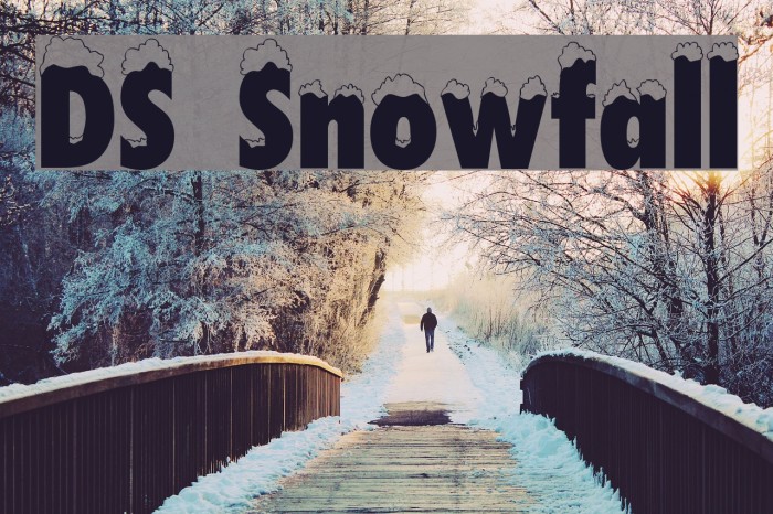 DS Snowfall Font - FFonts.net