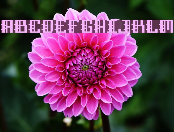 Dubstep Blackletter Font - FFonts.net