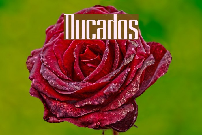 Ducados Font - FFonts.net