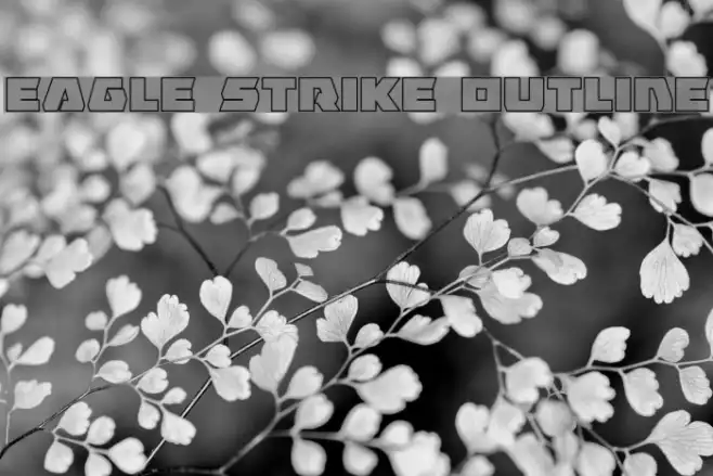 Eagle Strike Outline Font | Free Download (TTF/OTF) | FFonts.net